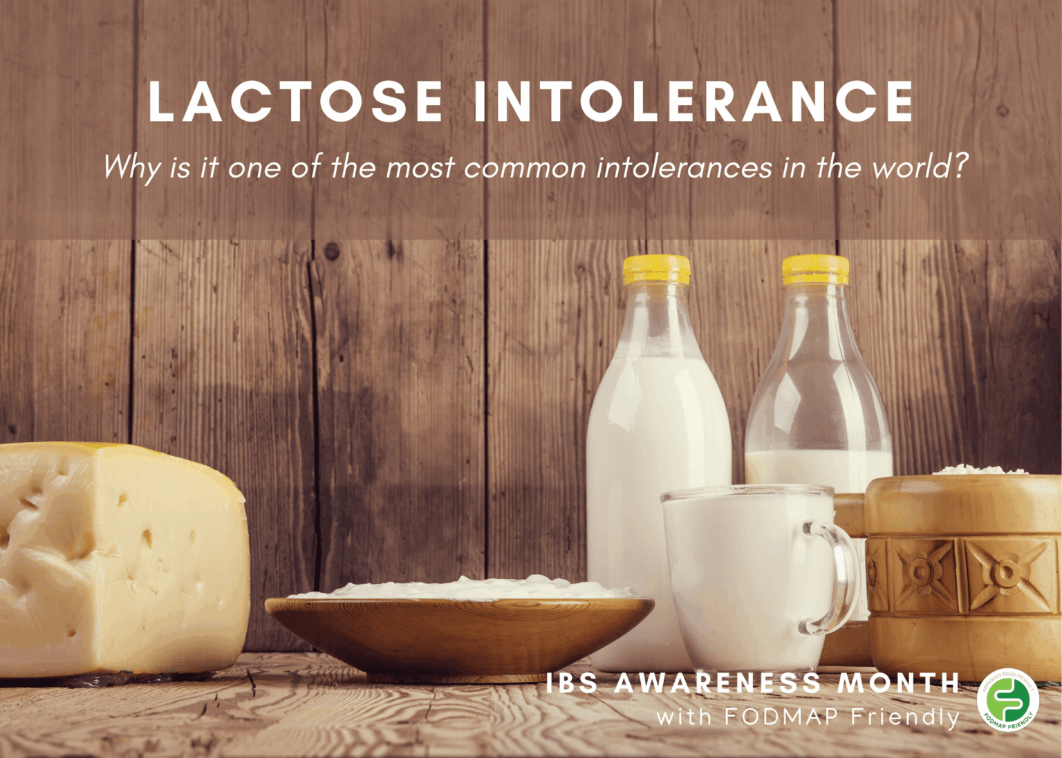 Lactose intolerance is one of the most common intolerances, but why ...